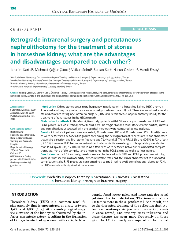 (PDF) Retrograde intrarenal surgery and percutaneous nephrolithotomy ...