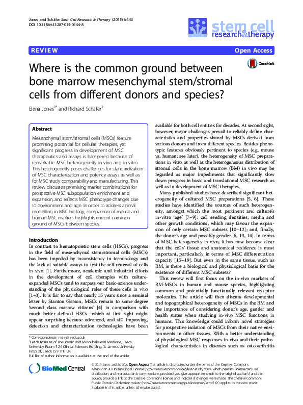 (PDF) Where is the common ground between bone marrow mesenchymal stem ...