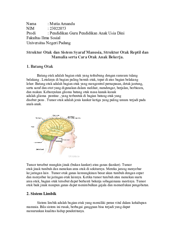 Pdf Lanjutan Tugas Struktur Otak Dan Sistem Syaraf Manusia Struktur Reptil Dan Mamalia 