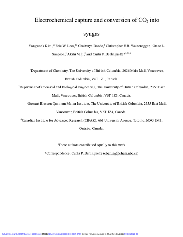 (PDF) Electrochemical capture and conversion of CO2 into syngas