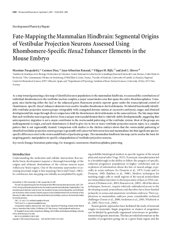 (PDF) Fate-Mapping the Mammalian Hindbrain: Segmental Origins of ...