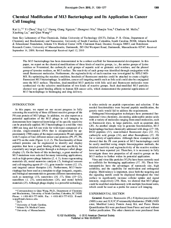 (PDF) Chemical Modification of M13 Bacteriophage and Its Application in Cancer Cell Imaging