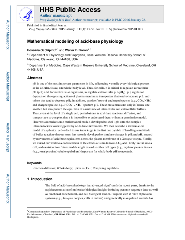(PDF) Mathematical modeling of acid-base physiology