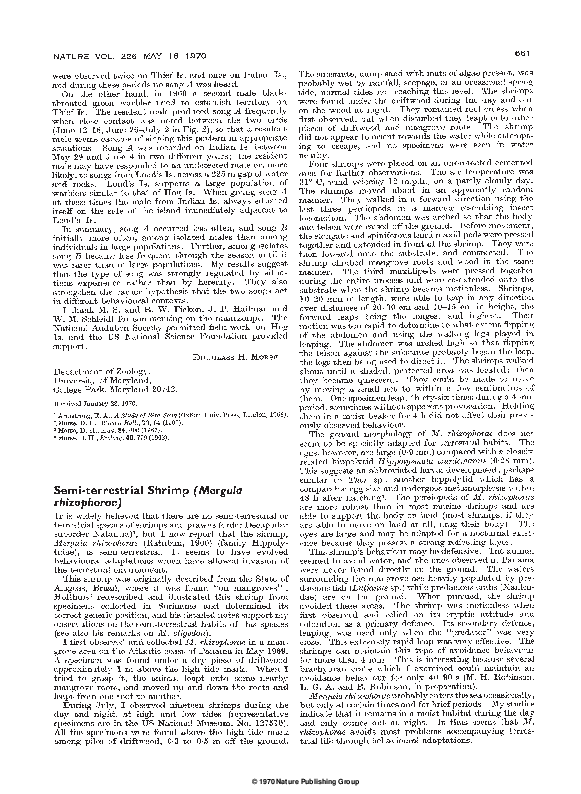 (PDF) Semi-terrestrial Shrimp (Merguia rhizophorae)