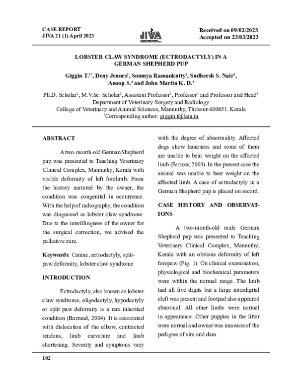 (PDF) Lobster Claw Syndrome (Ectrodactyly) in a German Shepherd Pup