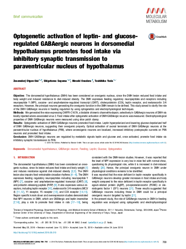 (PDF) Optogenetic activation of leptin- and glucose-regulated GABAergic ...
