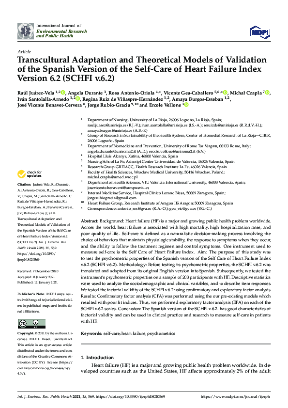 Pdf Transcultural Adaptation And Theoretical Models Of Validation Of The Spanish Version Of