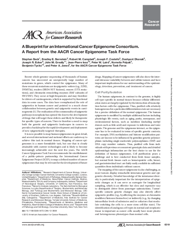 (PDF) A Blueprint for an International Cancer Epigenome Consortium. A ...