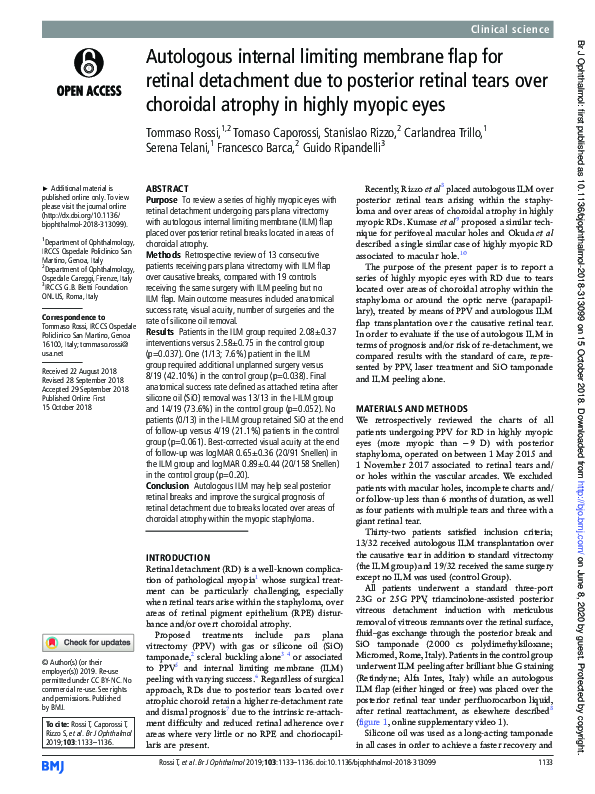 (PDF) Autologous internal limiting membrane flap for retinal detachment ...
