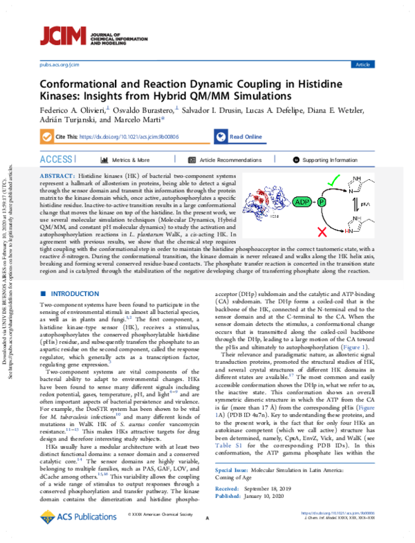 (PDF) Conformational and Reaction Dynamic Coupling in Histidine Kinases: Insights from Hybrid QM ...