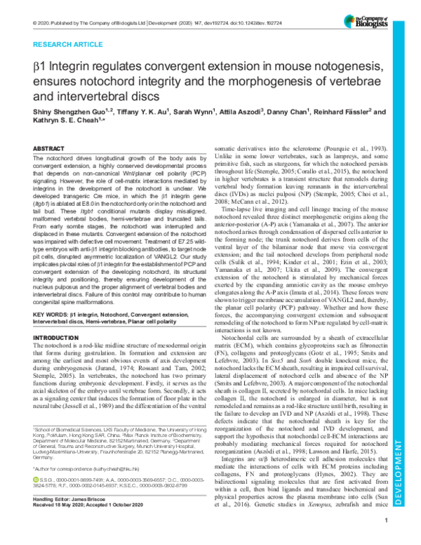 (PDF) Β1 Integrin Regulates Convergent Extension in Mouse Notogenesis ...