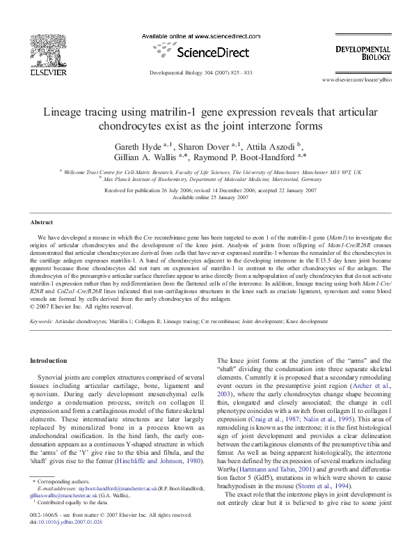 (PDF) Lineage tracing using matrilin-1 gene expression reveals that ...