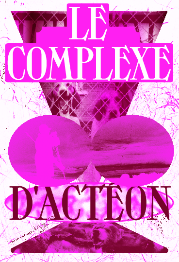(PDF) Le Complexe d'Actéon
