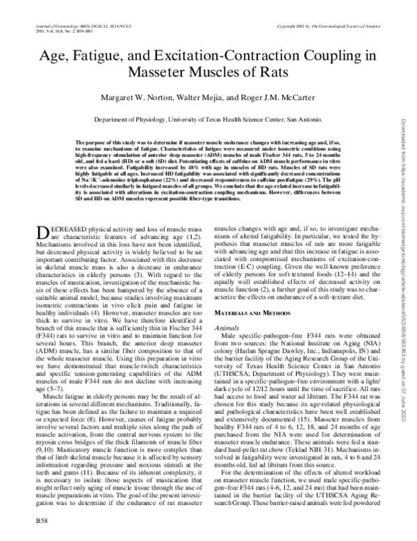(PDF) Age, Fatigue, and Excitation-Contraction Coupling in Masseter ...