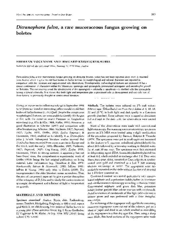 (PDF) Dicranophora fulva, a rare mucoraceous fungus growing on boletes