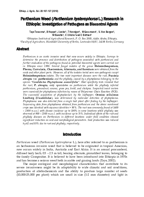 (PDF) Parthenium Weed (Parthenium hysterophorus L.) Research in ...