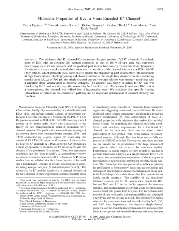 (PDF) Molecular Properties of Kcv, a Virus Encoded K+ Channel