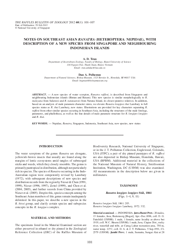 (PDF) Notes On Southeast Asian Ranatra Heteroptera Nepidae , With ...