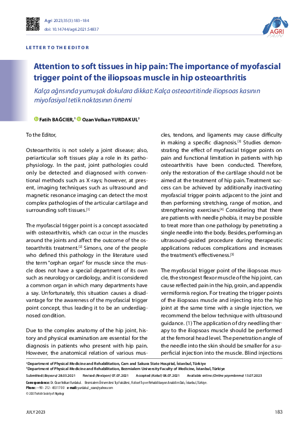 (PDF) Attention to Soft Tissues in Hip Pain: The Importance of ...