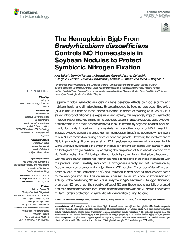 (PDF) Bjgb Mutant Enhances Nitrogen Fixation in Soybeans