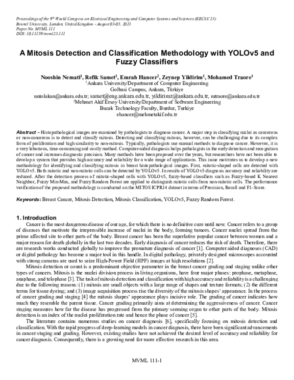 Pdf A Mitosis Detection And Classification Methodology With Yolov5 And Fuzzy Classifiers