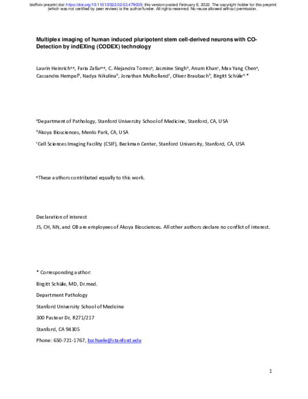 (PDF) Multiplex imaging of human induced pluripotent stem cell-derived ...