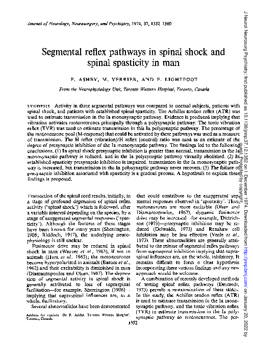 (PDF) Segmental reflex pathways in spinal shock and spinal spasticity ...
