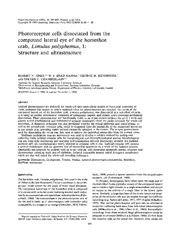 (PDF) Photoreceptor cells dissociated from the compound lateral eye of ...