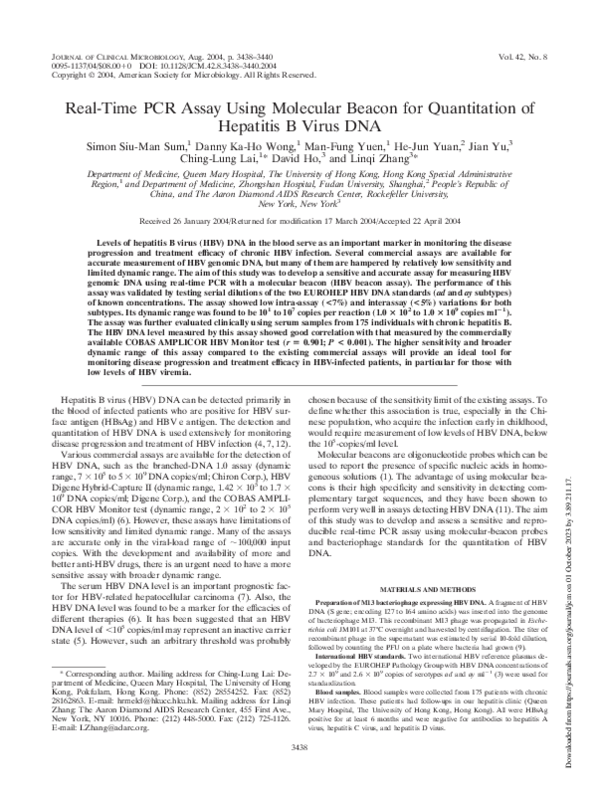 Pdf Real Time Pcr Assay Using Molecular Beacon For Quantitation Of Hepatitis B Virus Dna