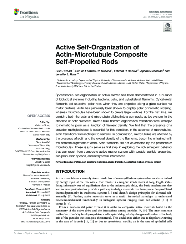 (PDF) Active Self-Organization of Actin-Microtubule Composite Self ...