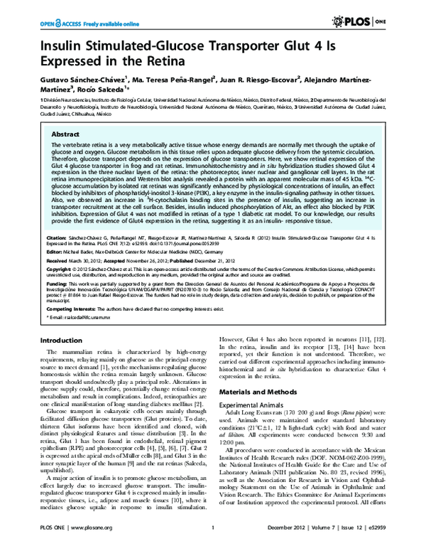 (PDF) Glut 4 Expression in the Insulin-Responsive Retina