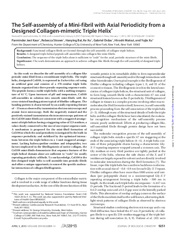 (PDF) The Self-assembly of a Mini-fibril with Axial Periodicity from a ...