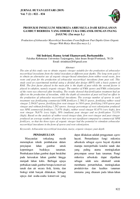 (PDF) PRODUKSI INOKULUM MIKORIZA ARBUSKULA DARI KEDALAMAN GAMBUT ...