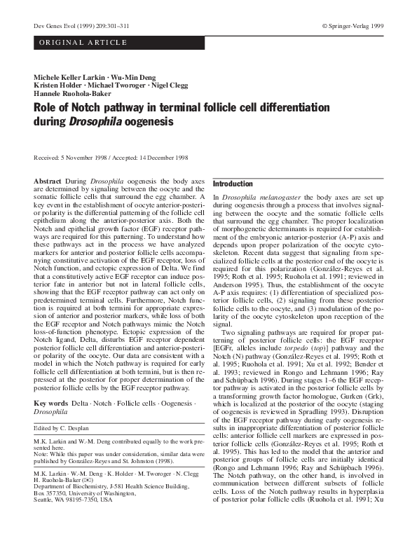 (PDF) Role of Notch pathway in terminal follicle cell differentiation ...