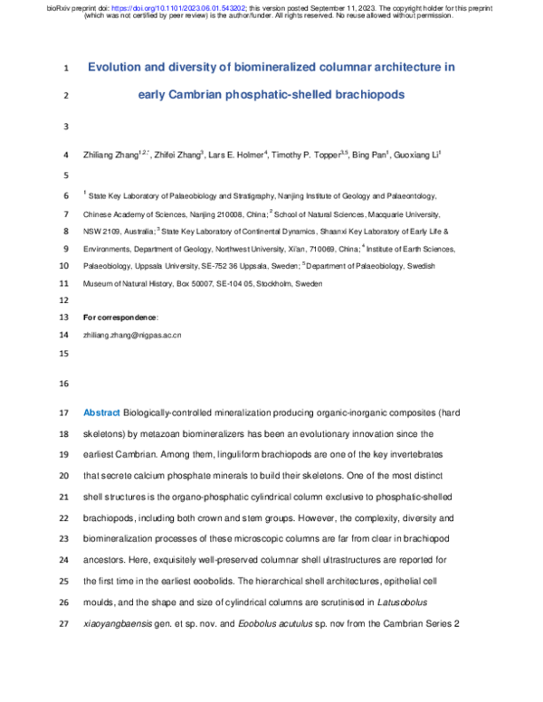 (PDF) Evolution and diversity of biomineralized columnar architecture ...