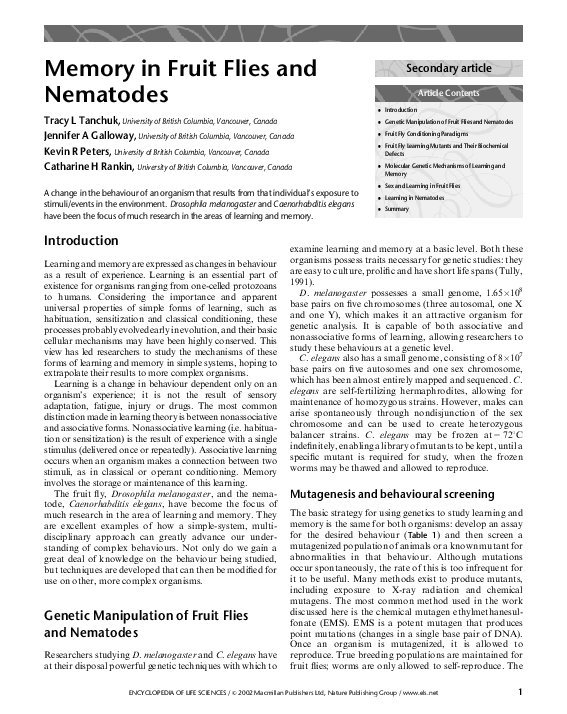 (PDF) Memory in Fruit Flies and Nematodes
