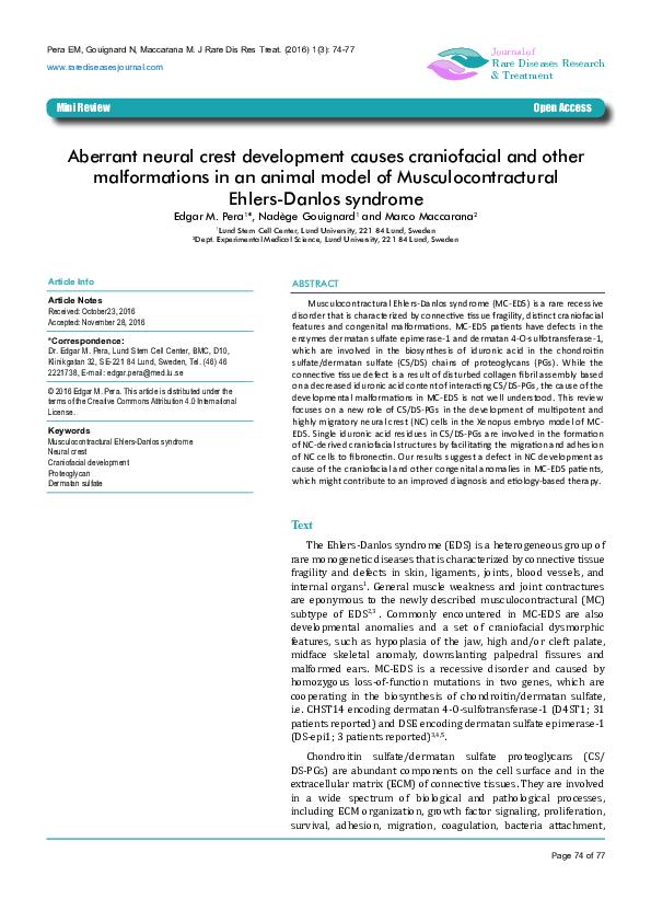 (PDF) Aberrant neural crest development causes craniofacial and other ...
