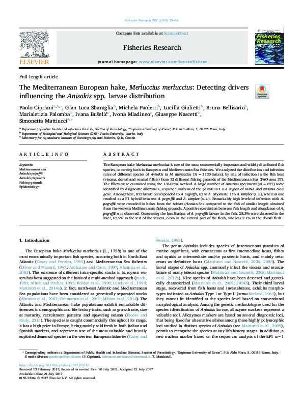 (PDF) The Mediterranean European hake, Merluccius merluccius ...