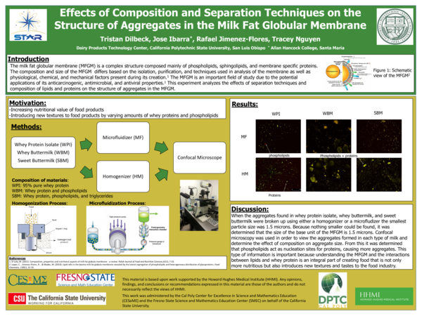 (PDF) Effects of Composition and Separation Techniques on the Structure ...