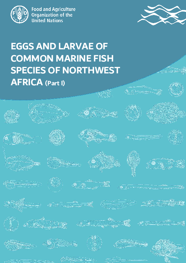 (PDF) EGGS AND LARVAE OF COMMON MARINE FISH SPECIES OF NORTHWEST AFRICA ...