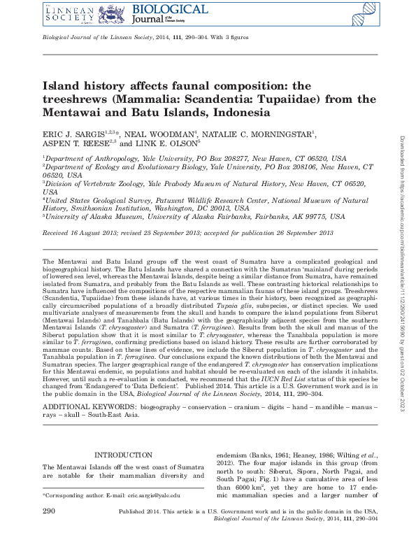 (PDF) Island history affects faunal composition: the treeshrews ...