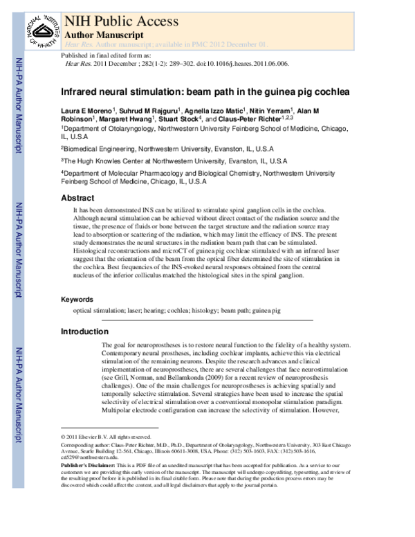 (PDF) Infrared neural stimulation: Beam path in the guinea pig cochlea
