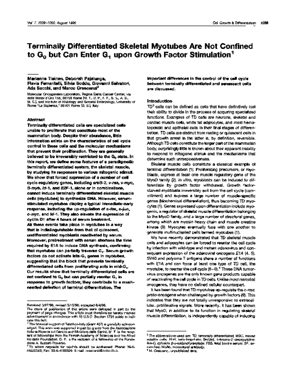 (PDF) Terminally differentiated skeletal myotubes are not confined to ...