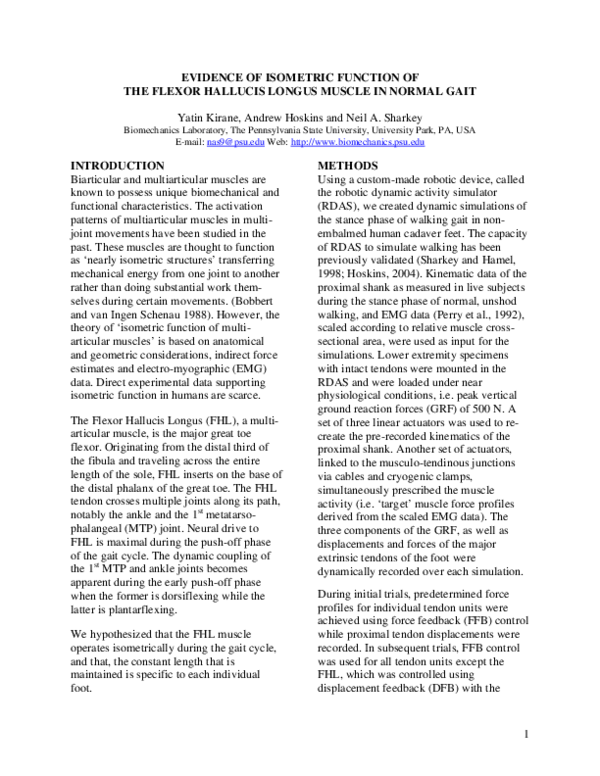 (PDF) Evidence of isometric function of the flexor hallucis longus ...