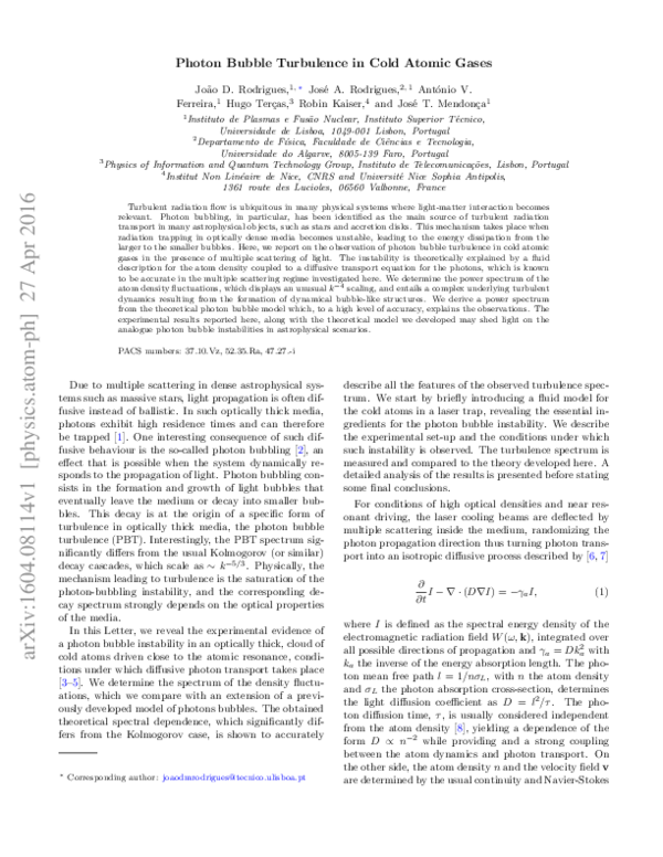 (PDF) Photon Bubble Turbulence in Cold Atomic Gases