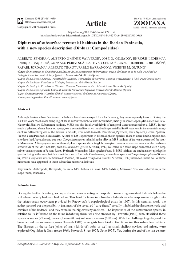 (PDF) Diplurans of subsurface terrestrial habitats in the Iberian ...