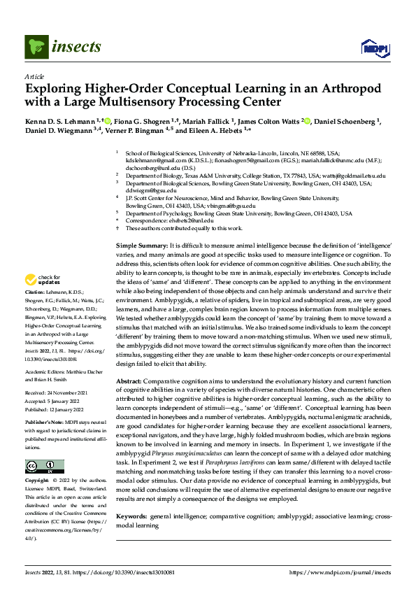 (PDF) Exploring Higher-Order Conceptual Learning in an Arthropod with a Large Multisensory ...