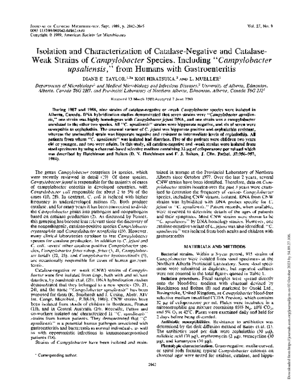 (PDF) Isolation and characterization of catalase-negative and catalase ...