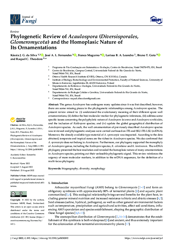 (PDF) Phylogenetic Review of Acaulospora (Diversisporales ...