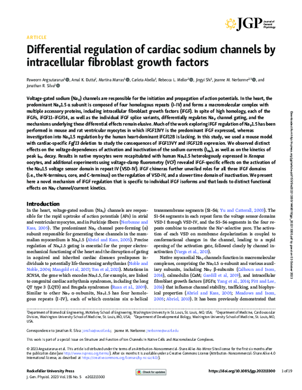 (PDF) Differential regulation of cardiac sodium channels by ...